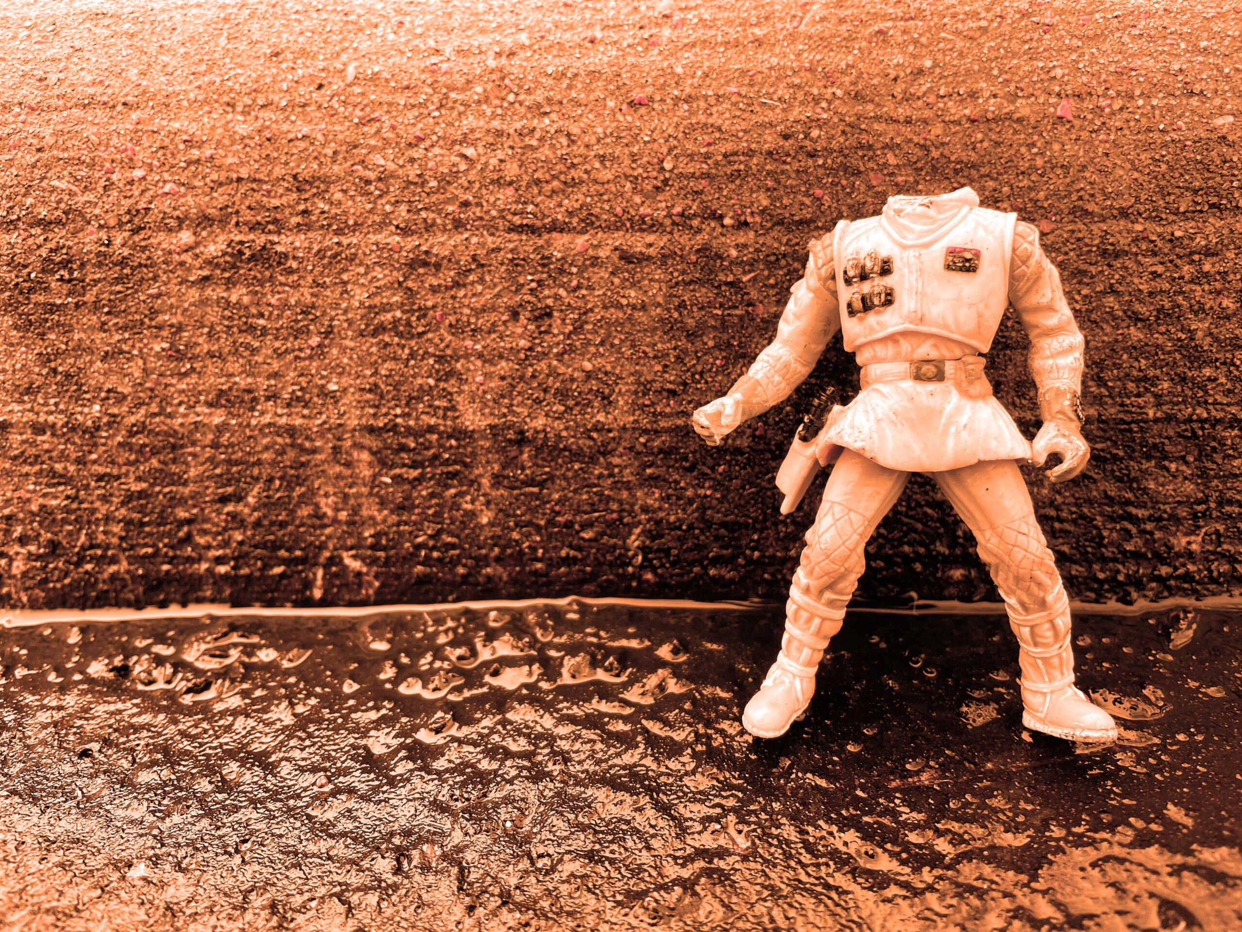 Sleeping Between the Bears – Josh Parish